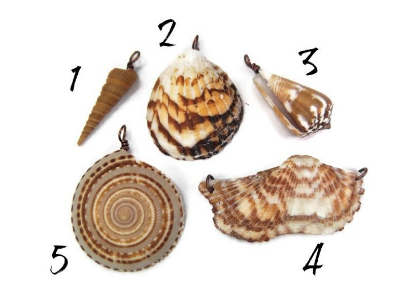 Natural Seashell Necklace Summer Beach Shell Necklace | Etsy