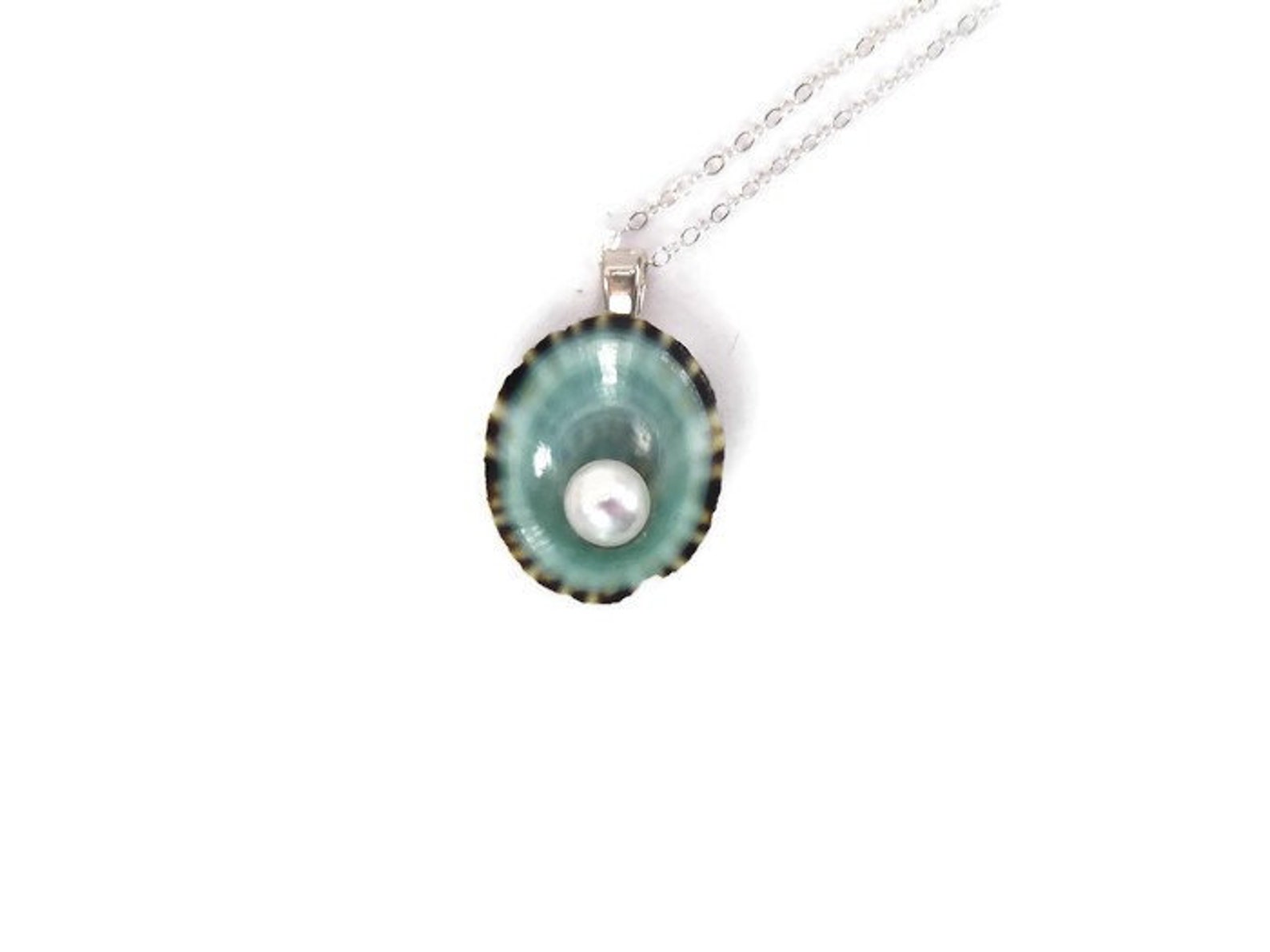 Blue Beach Shell Necklace Minimalist Shell Necklace - Etsy