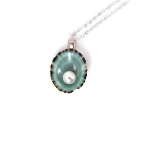 Blue Beach Shell Necklace - Minimalist Shell Necklace - Sterling Silver ...