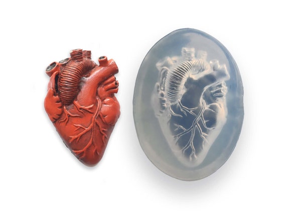 Home & Hobby Candle Making human organs silicone mold table decor ...