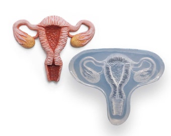 Uterus Resin Mold | Etsy