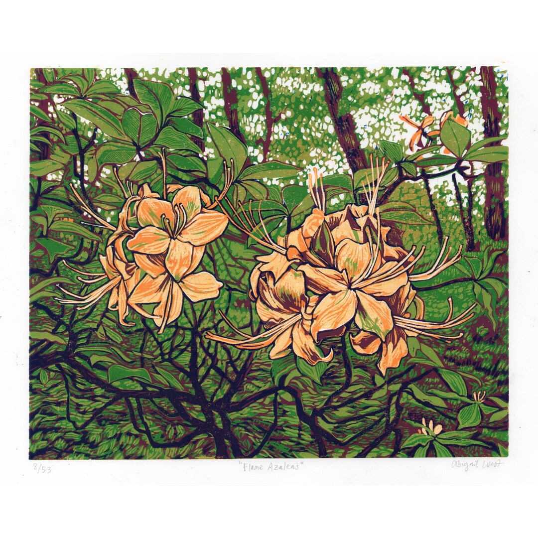 Flame Azaleas Linocut Reduction Print 6 Layers, Blue Ridge Mountain ...