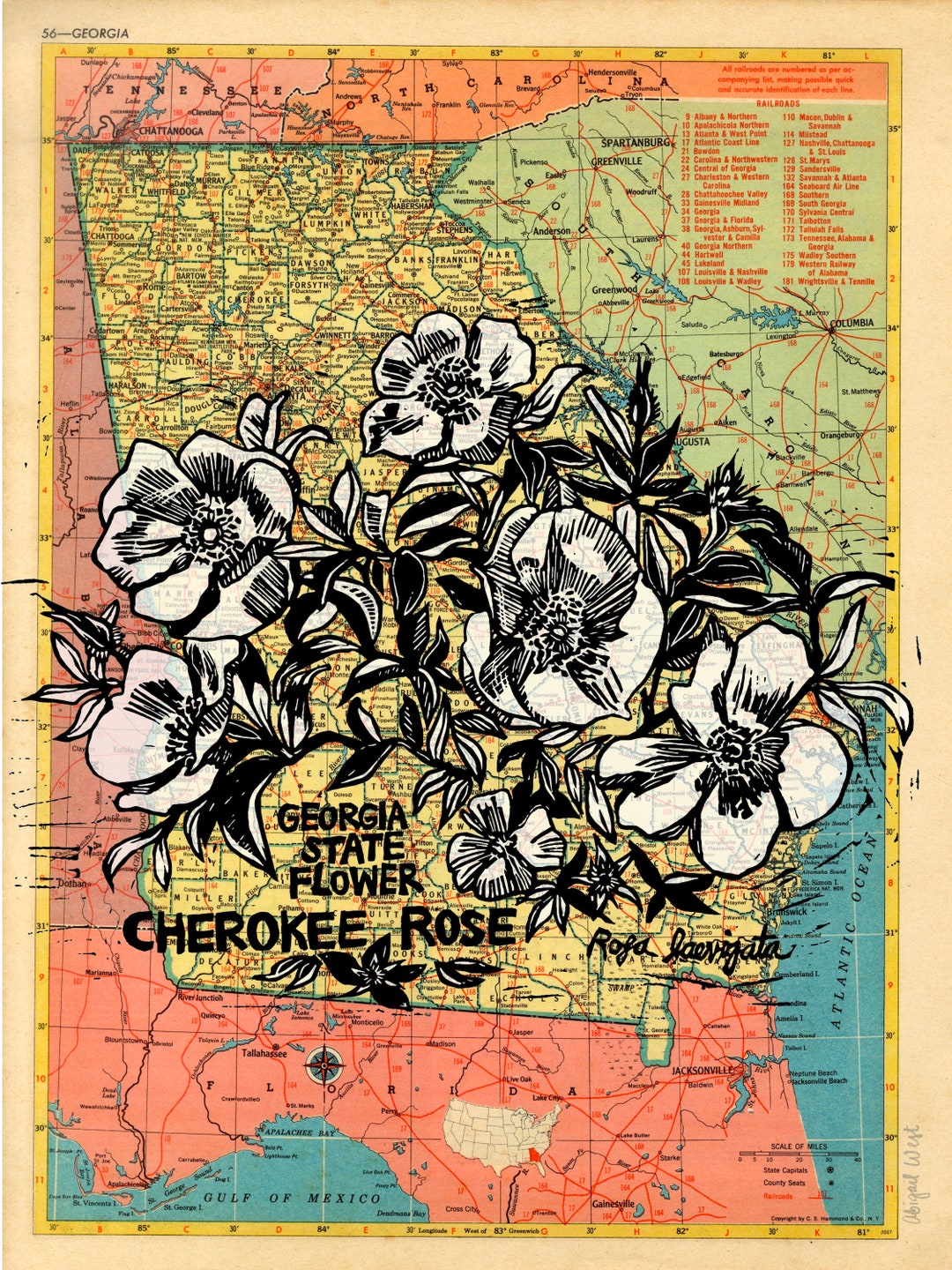 Cherokee Rose Linocut on Georgia Map State Flower Print, Peach State ...