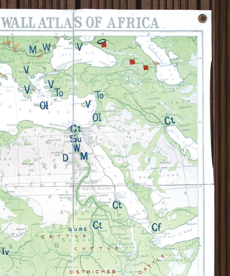 Vintage Philips Comparative Wall Atlas of Africa Economic - Etsy