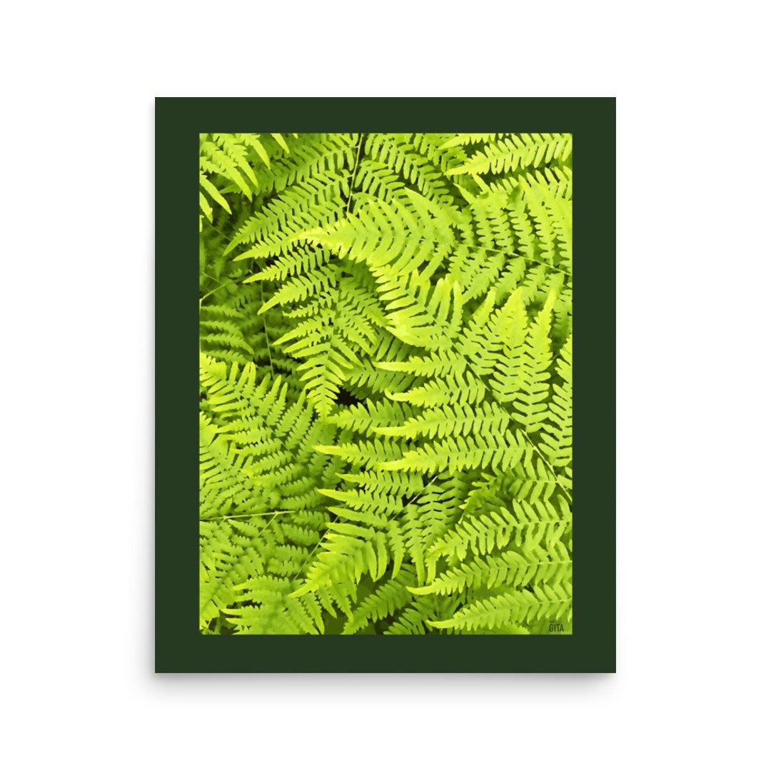 Green Ferns Plant Poster, Greenery Wall Art, Botanical Fern Art Print ...