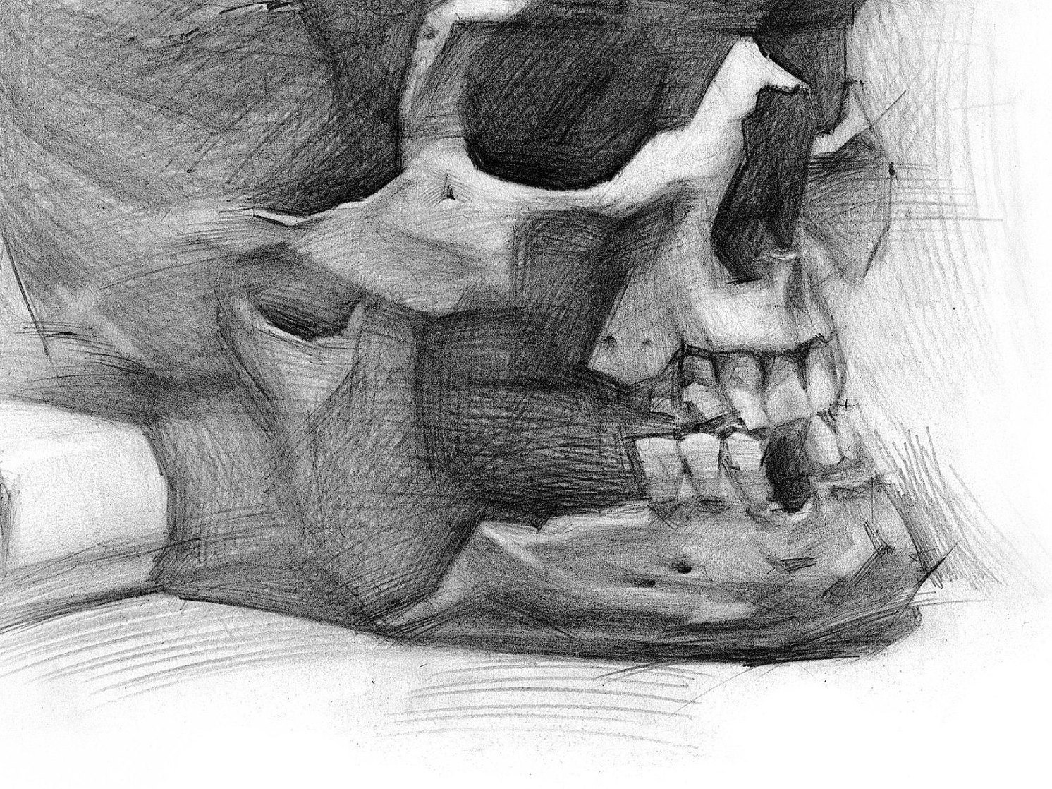 Realistic HUMAN SKULL Drawing Art Print Download Skull Wall - Etsy