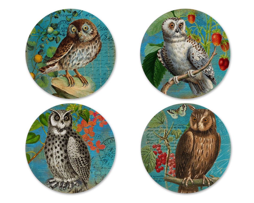 Barn Owl Coasters, Cute Owl Coasters, Owl Gifts, Owl Decor ...