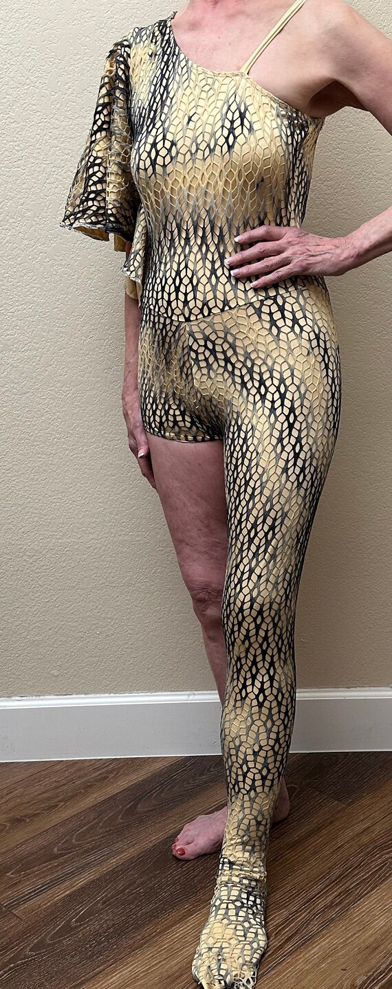 Sexy Lizard Butterfly