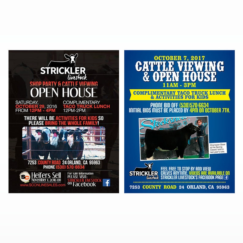 Flyer logo design custom designer logo designer flyers | Etsy