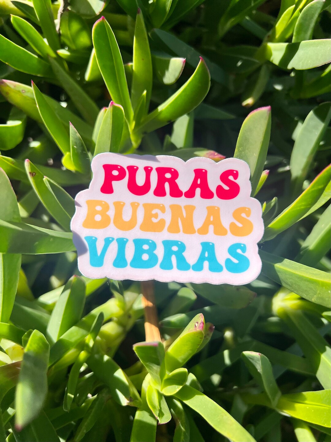Puras Buenas Vibras Sticker - Etsy