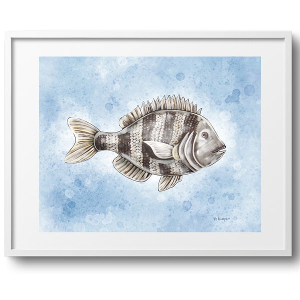 Sheepshead Fish - Etsy