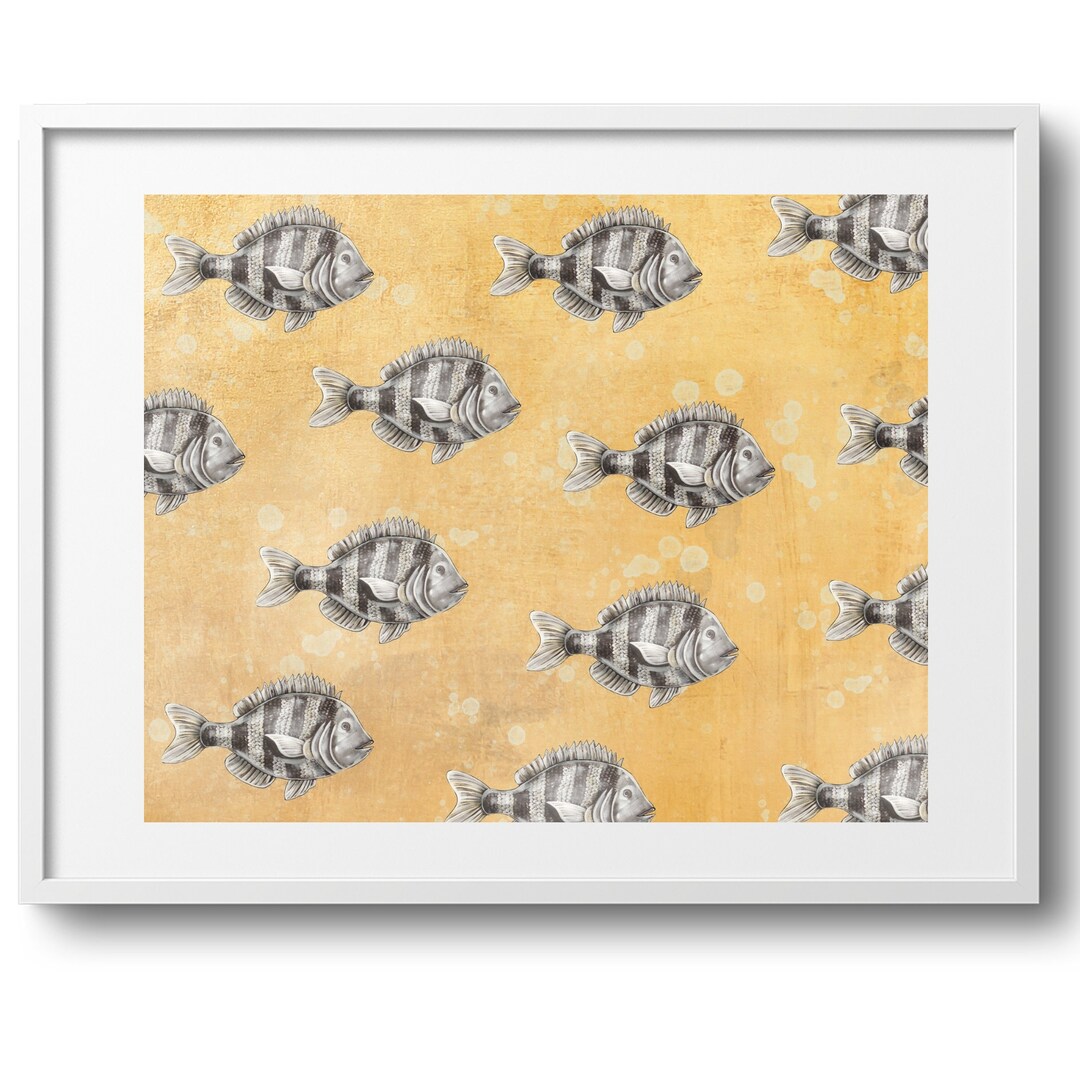 Sheepshead on Gold, Nautical Fish Fine Art Decor on Paper, Canvas, or ...
