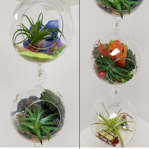 Hanging Terrariums - Etsy