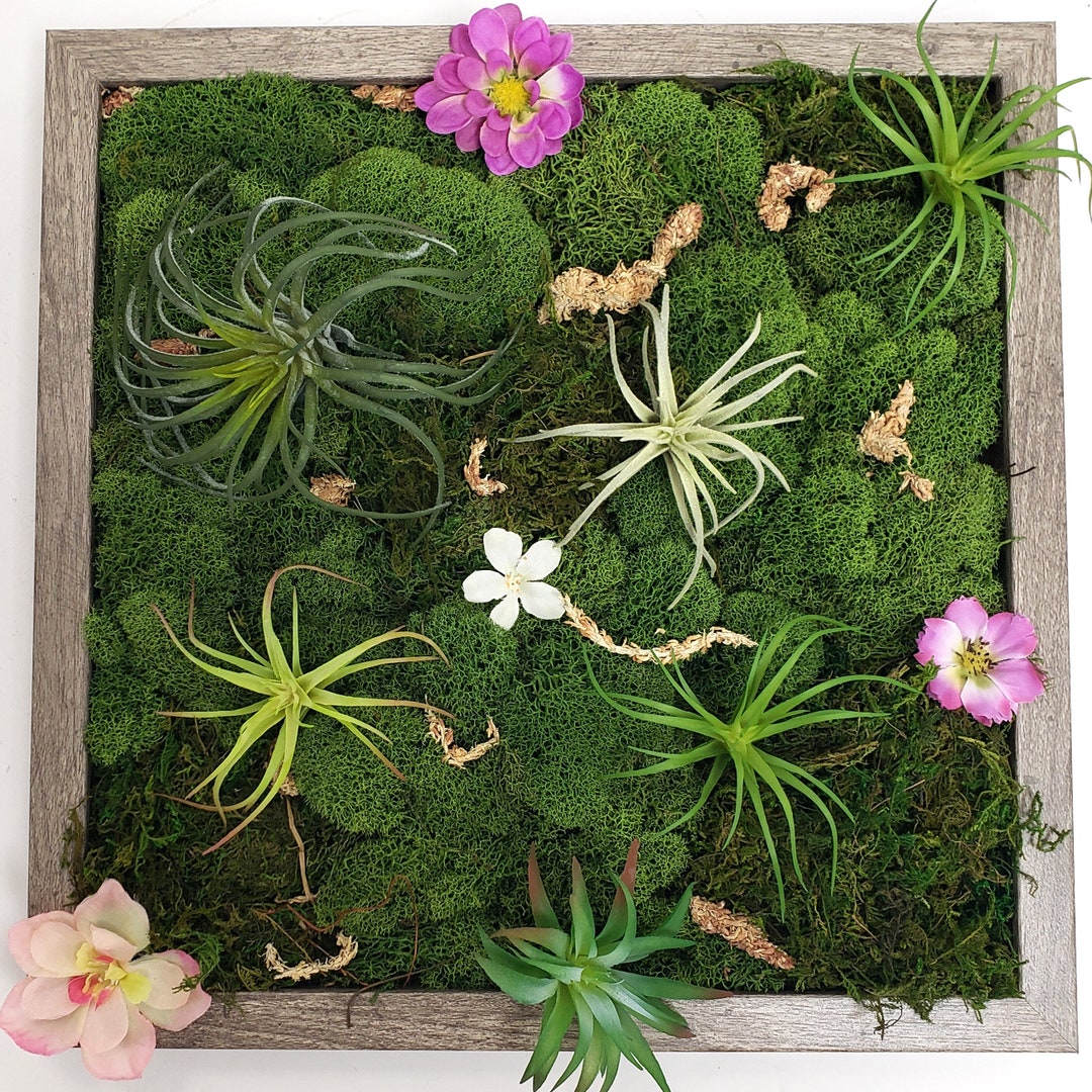 Shadow Box Terrarium 12x12 - Etsy