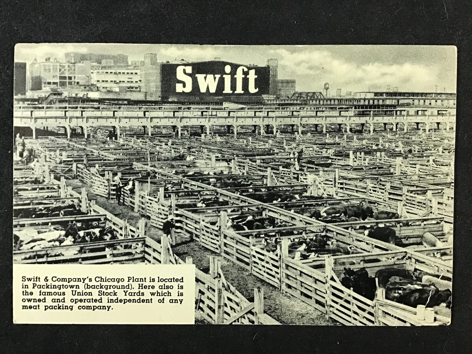 Vintage Swift & Company Chicago Plant Postcard and Armour | Etsy