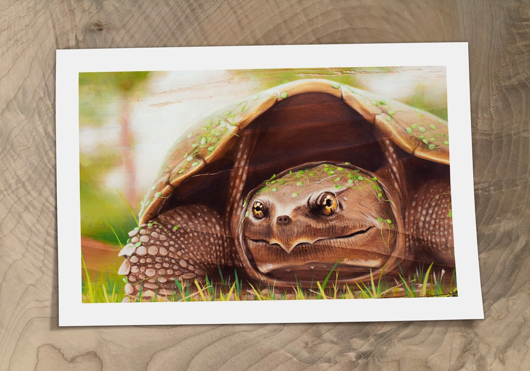 Snapping Turtle Premium Art Print | Original Nature Painting Print ...
