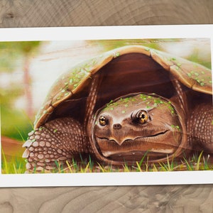 Snapping Turtle Premium Art Print Original Nature Painting - Etsy