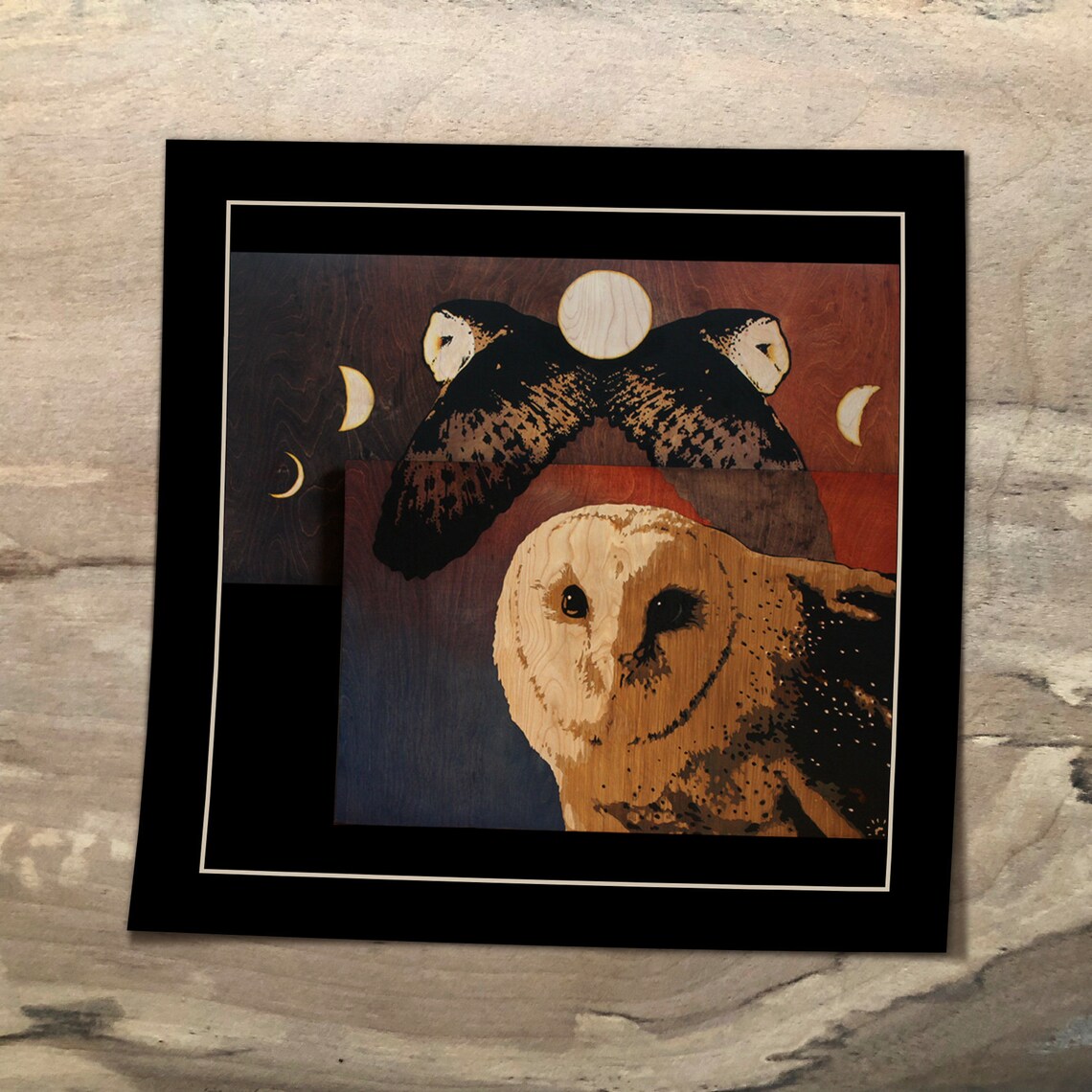 Barn Owl Moon Phases Art Print | Wildlife Wall Decor (8x8) - Etsy