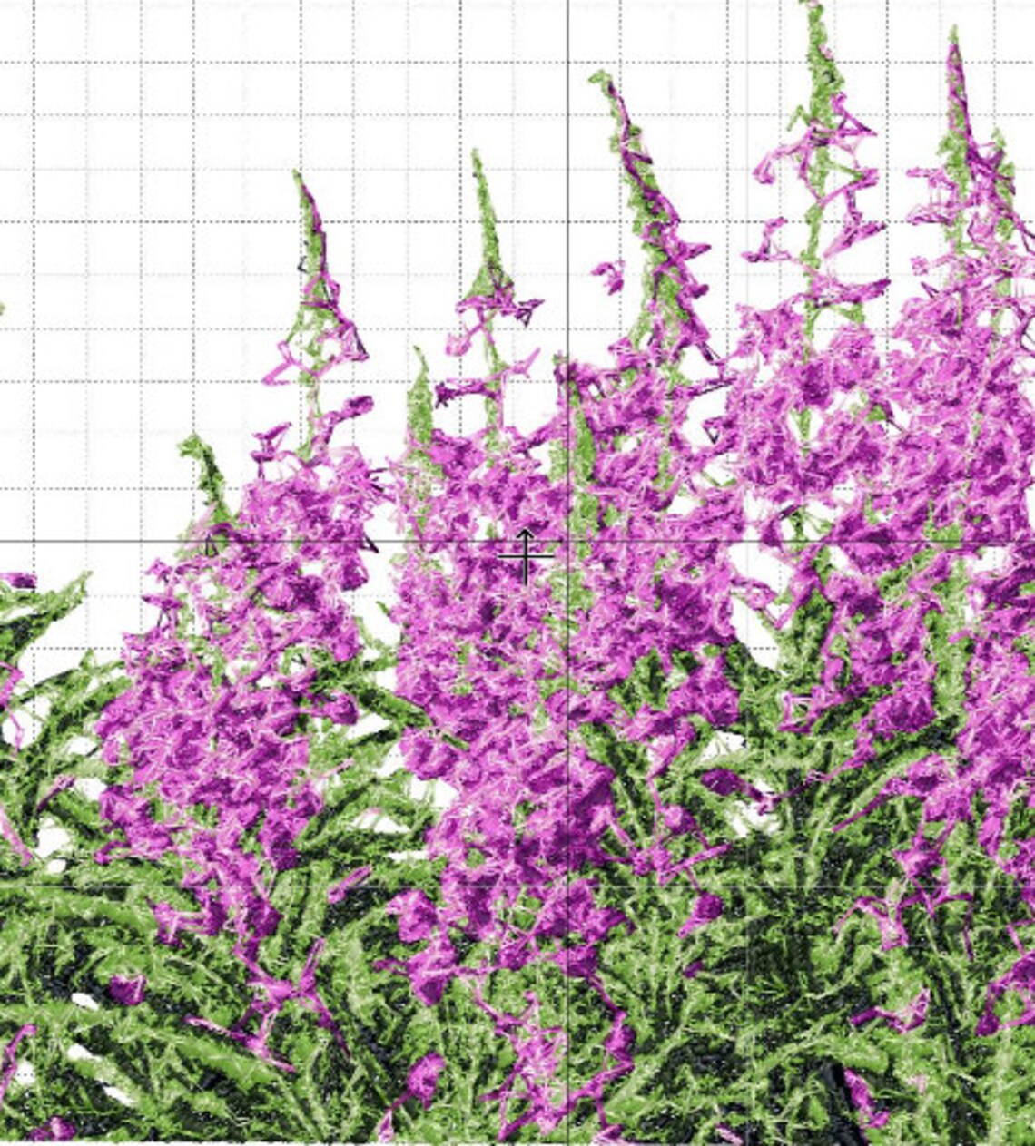 Machine Embroidery Design fireweed - Etsy