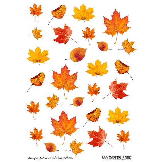 20 leaf resin mould inserts Autumn leaves decals Scrapbooking Craft ...