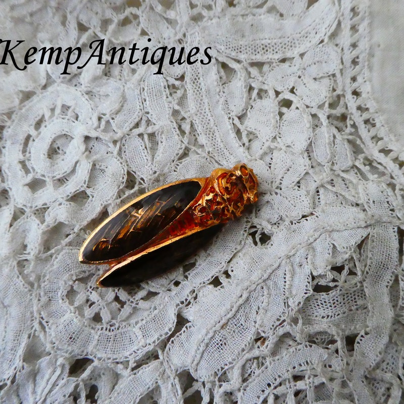 Cicada Brooch - Etsy
