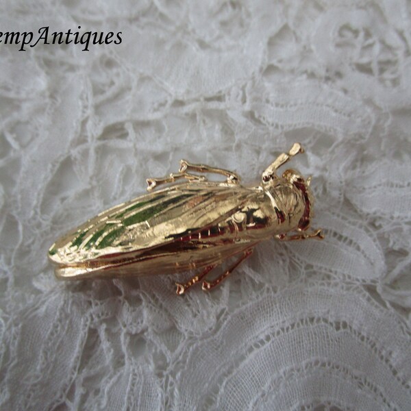 Cicada Brooch - Etsy
