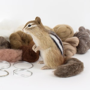 Needle Felted Chipmunk Kit and Tutorial - Etsy