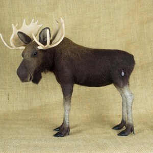 Made to Order Needle Felted Moose: Custom Needle Felted Animal ...