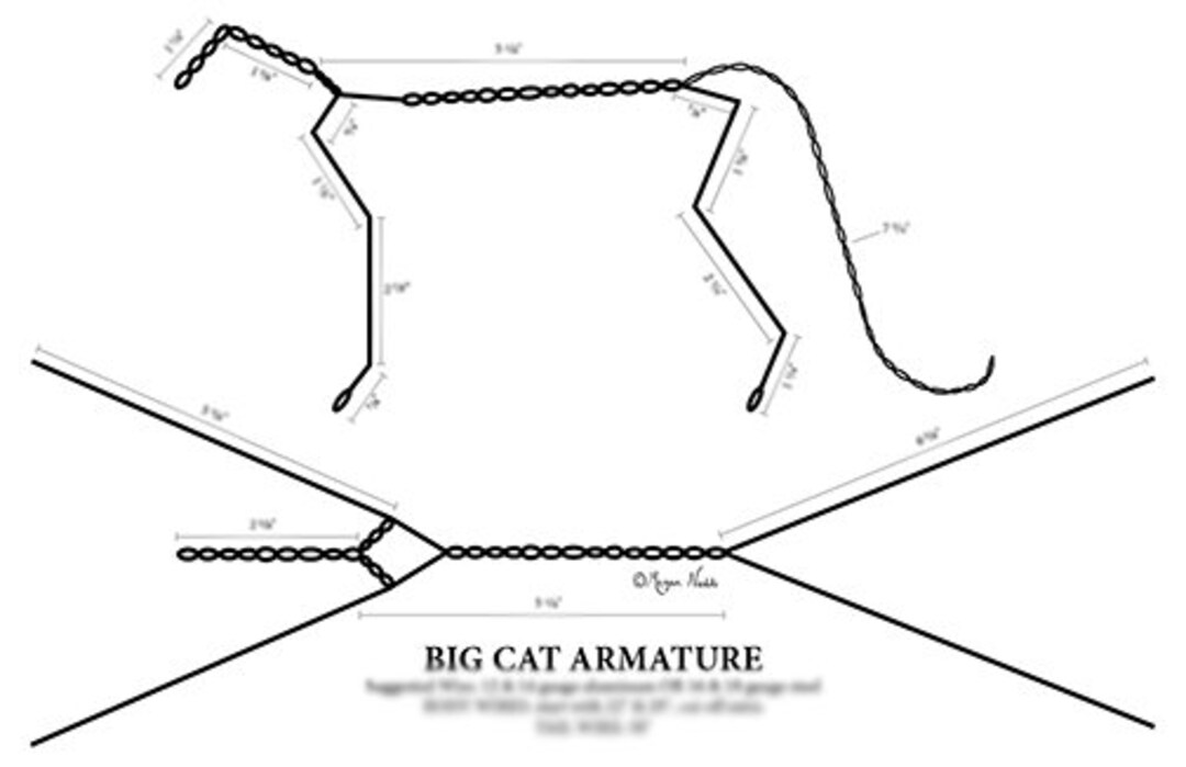 Armature Guide: Big Cats - Etsy
