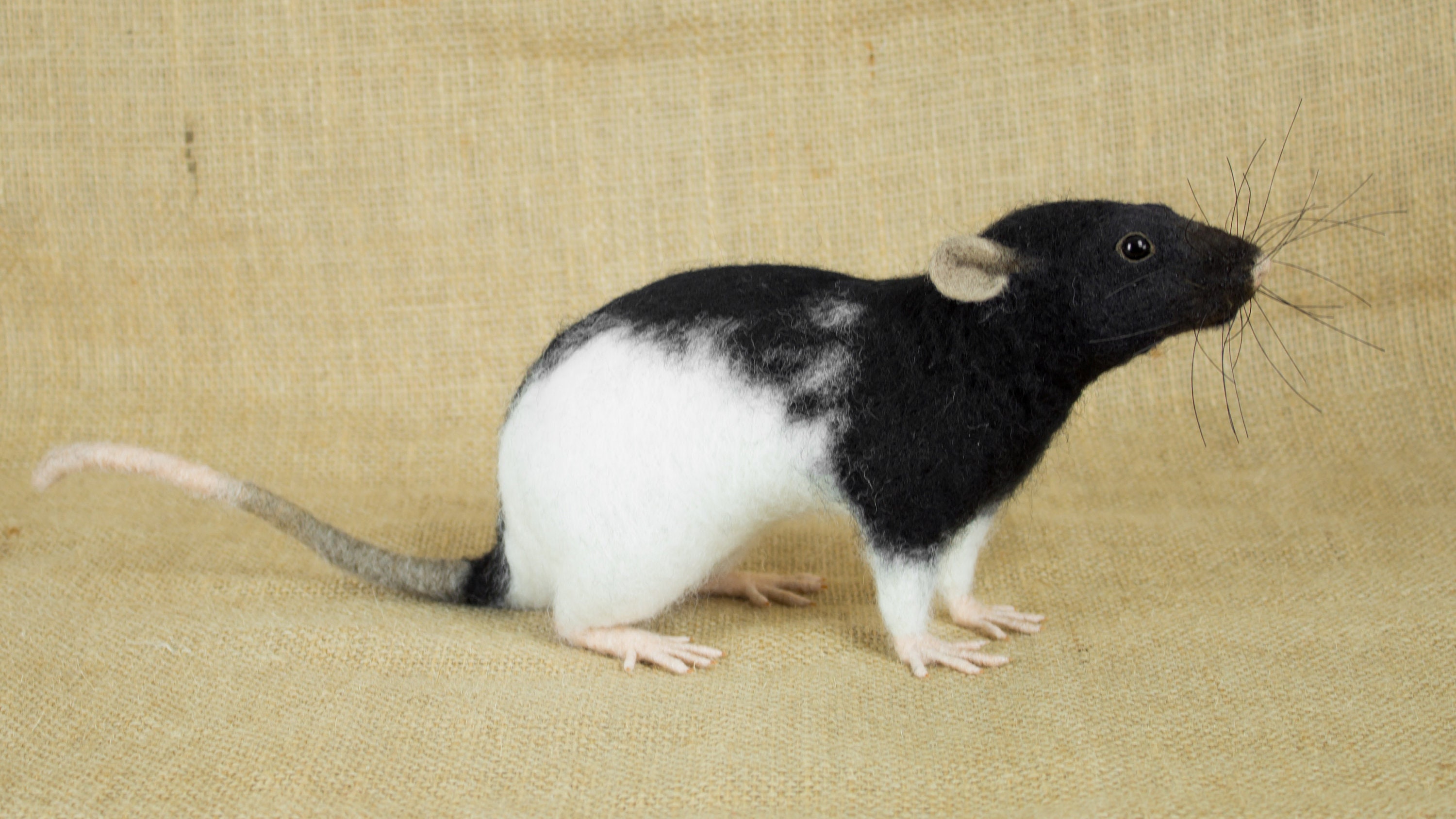 Made to Order Needle Felted Rat: Custom Needle Felted Animal - Etsy ...