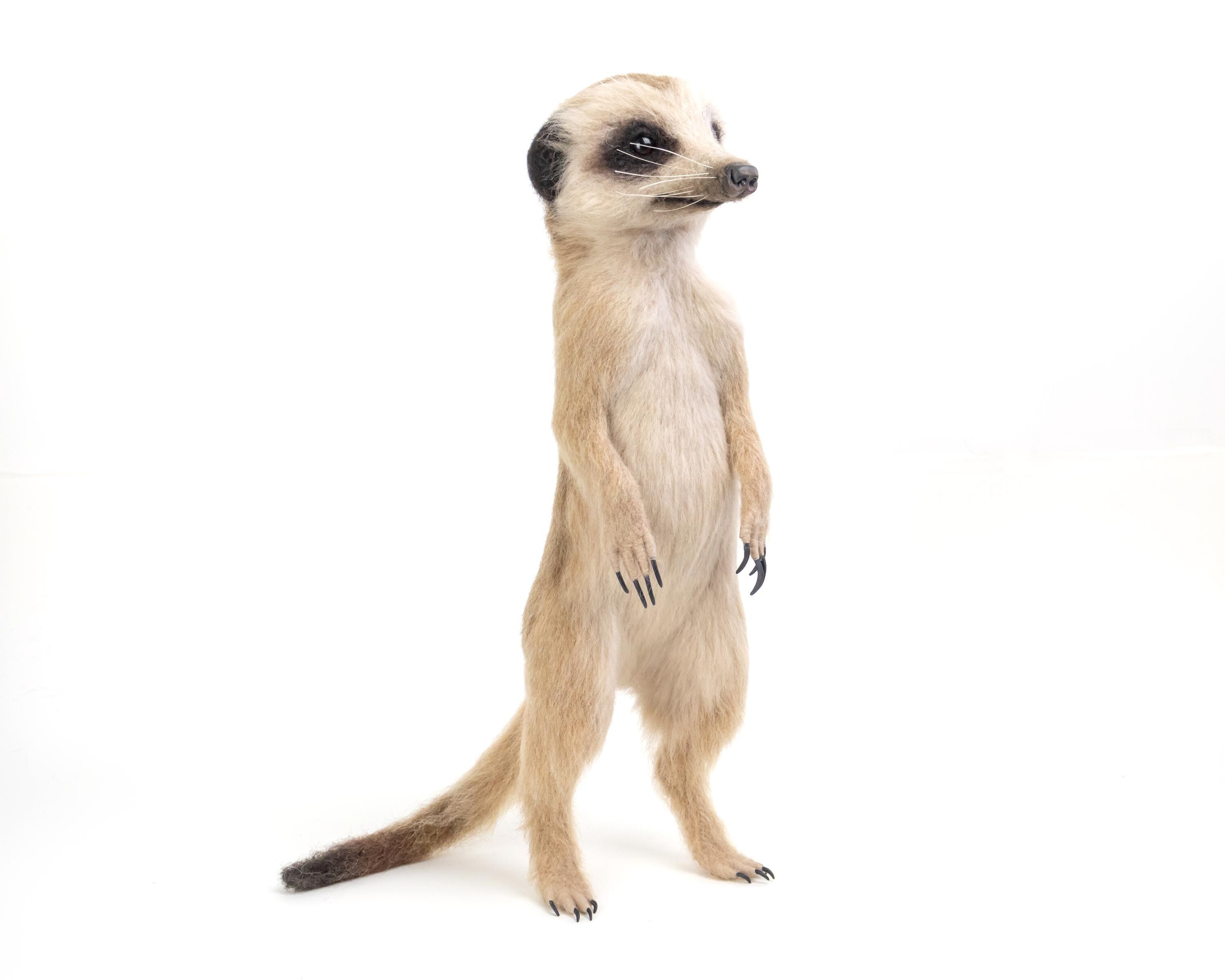 Felted Meerkat Kit and Tutorial - Etsy