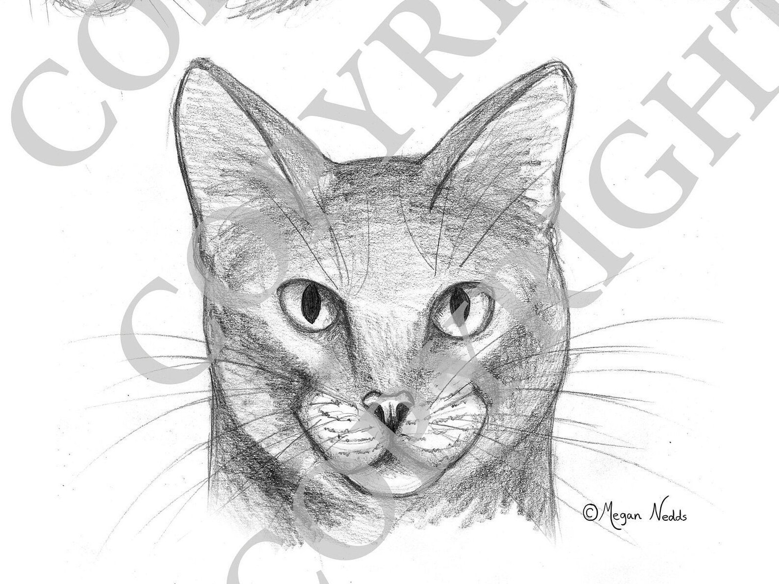 Artist Reference Sheet Download: Feline Faces - Etsy