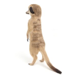 Felted Meerkat Kit and Tutorial - Etsy