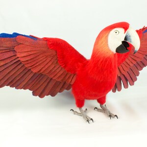 Made to Order Needle Felted Macaw: Custom Needle Felted Animal ...