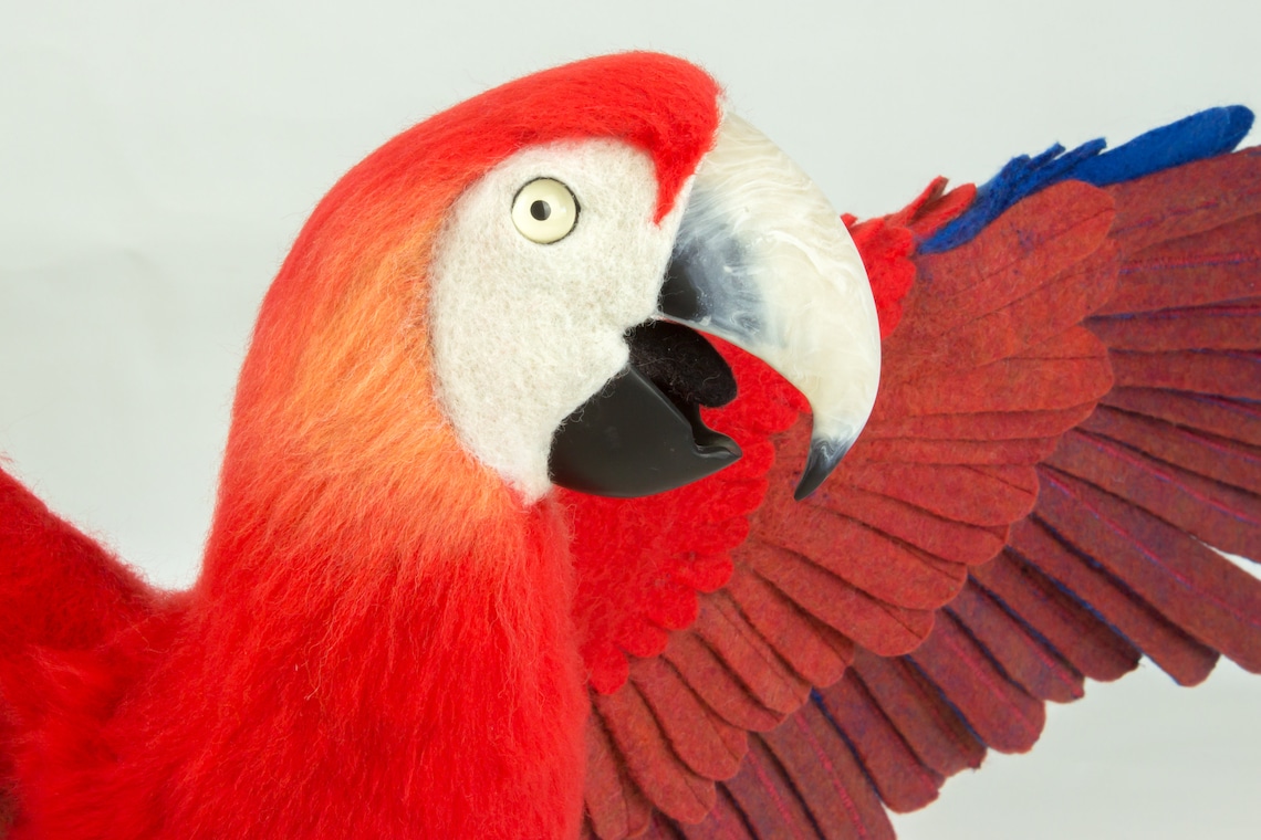 Made to Order Needle Felted Macaw: Custom Needle Felted Animal | Etsy