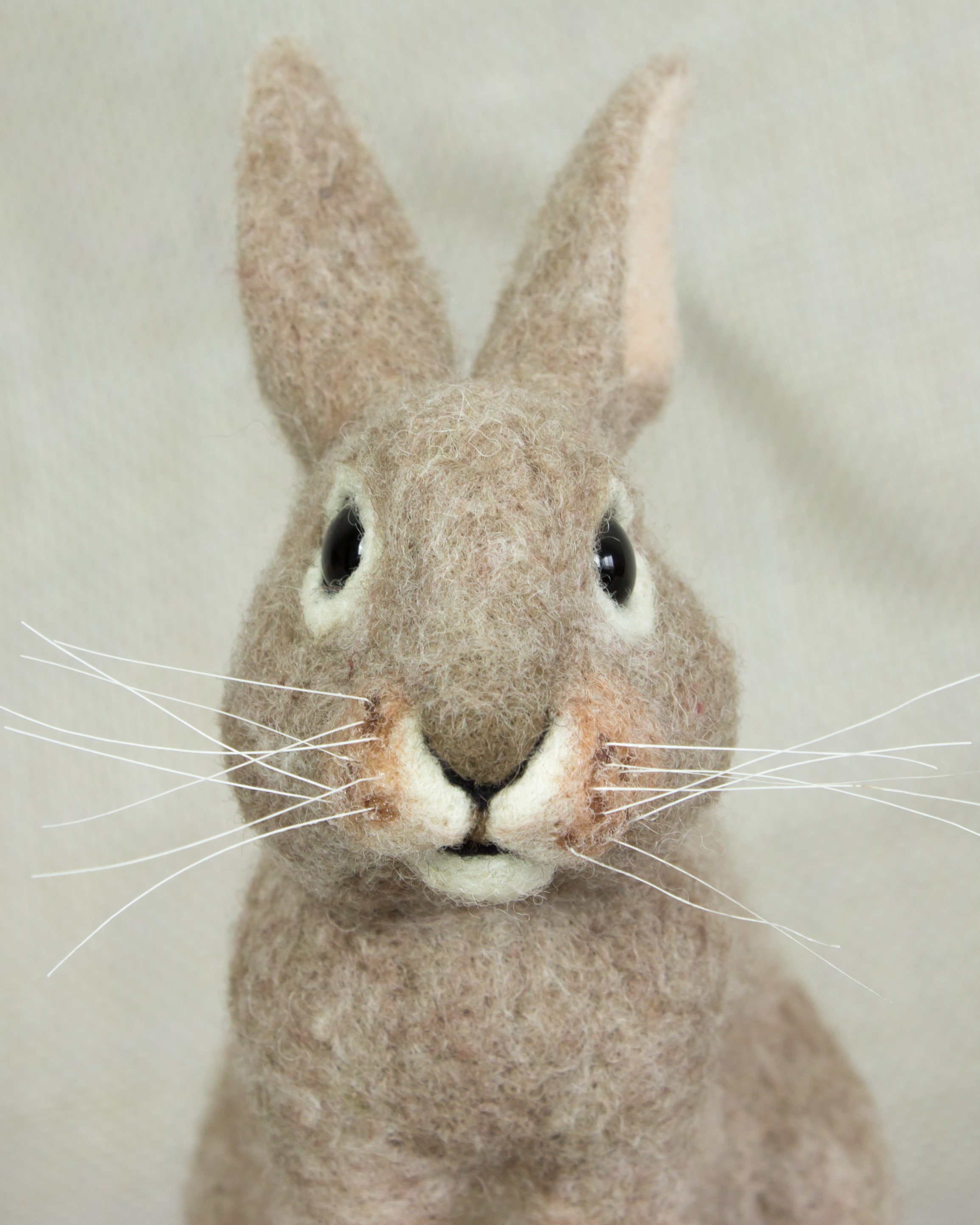 Needle Felting Tutorial Download: Rabbit - Etsy Canada