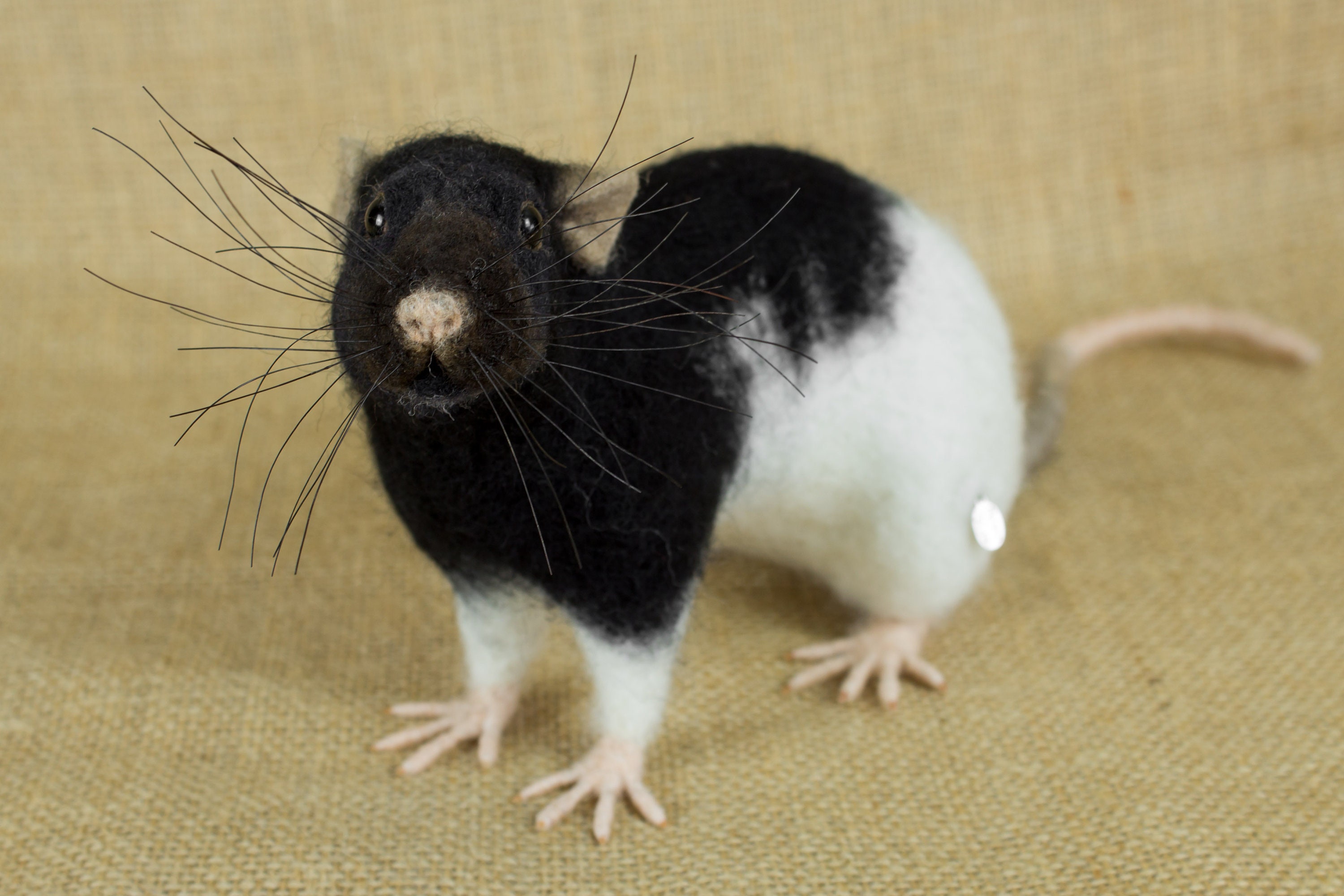 Made to Order Needle Felted Rat: Custom Needle Felted Animal Sculpture ...