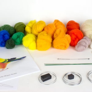 Needle Felted Sun Conure Kit and Tutorial - Etsy