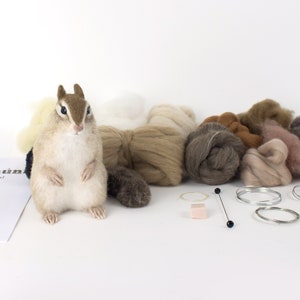 Needle Felted Chipmunk Kit and Tutorial - Etsy