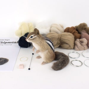 Needle Felted Chipmunk Kit and Tutorial - Etsy
