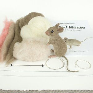 Needle Felted Mouse Kit and Tutorial - Etsy