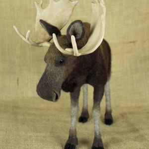 Made to Order Needle Felted Moose: Custom Needle Felted Animal ...