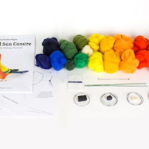 Needle Felted Sun Conure Kit and Tutorial - Etsy