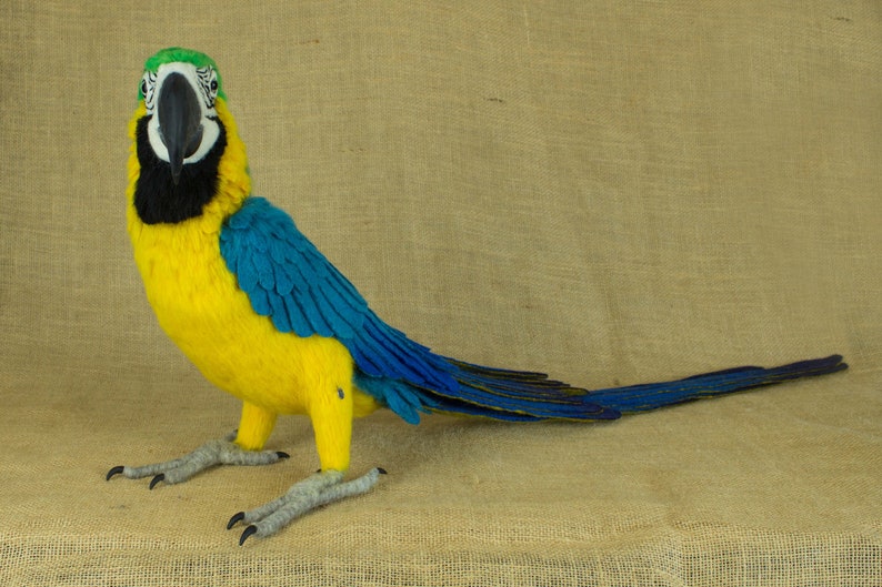 Made to Order Needle Felted Macaw: Custom Needle Felted Animal ...