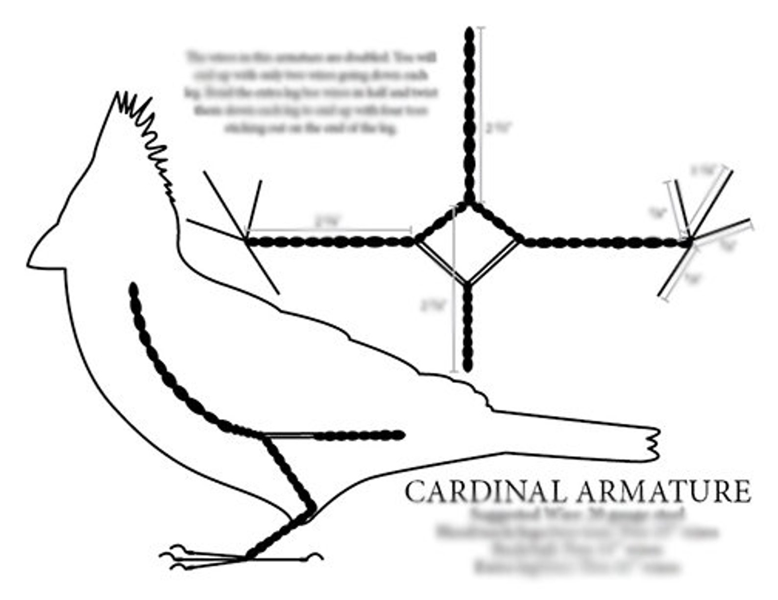 Armature Guide: Cardinal - Etsy