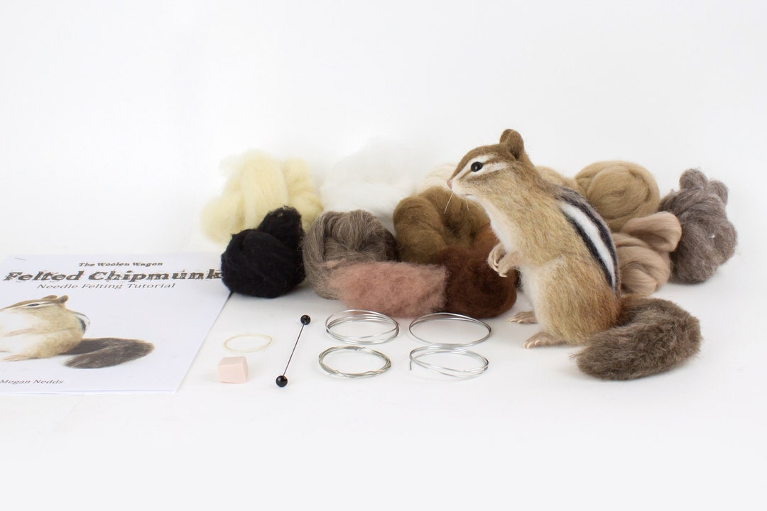 Needle Felted Chipmunk Kit and Tutorial - Etsy