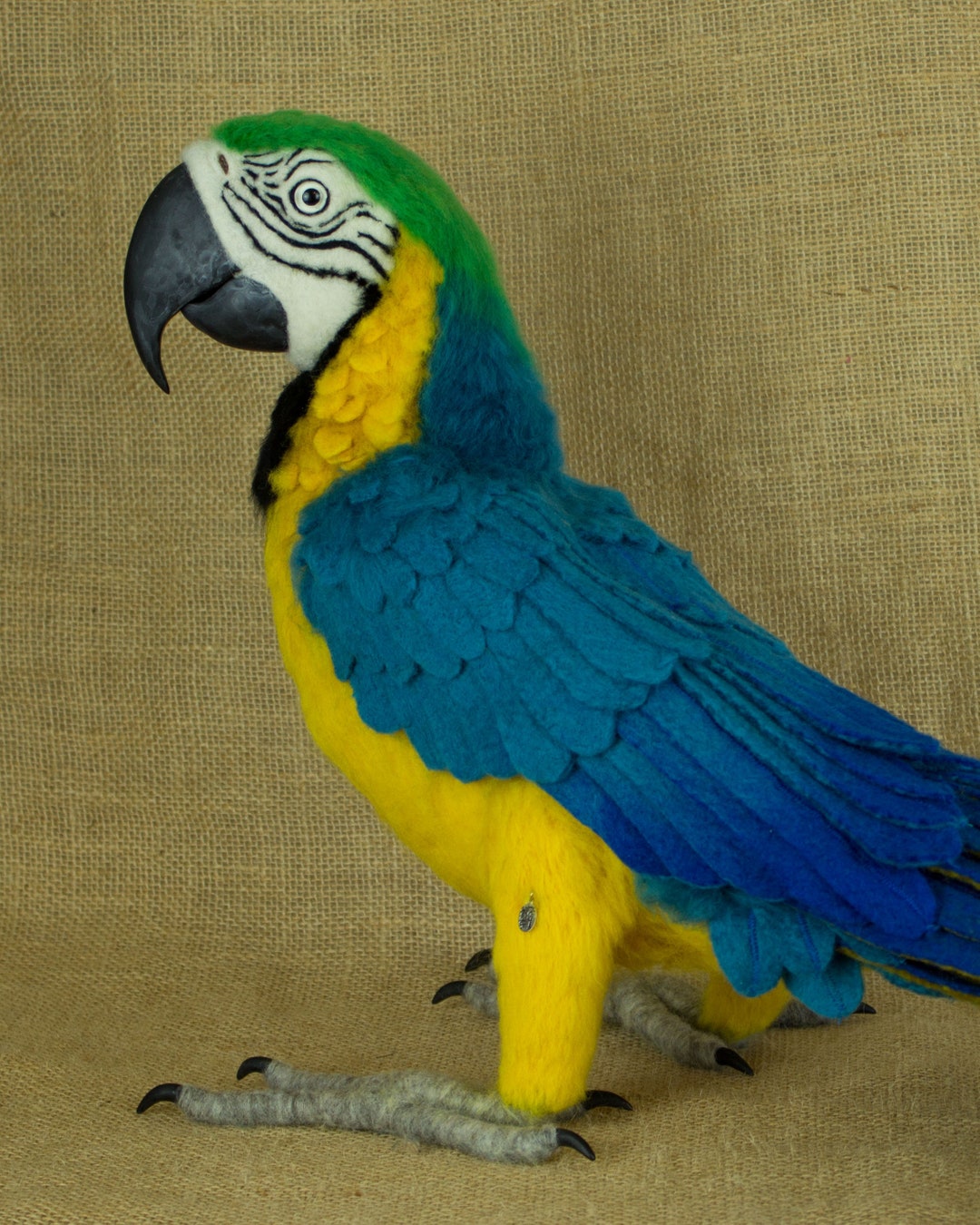 Made to Order Needle Felted Macaw: Custom Needle Felted Animal ...