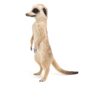 Felted Meerkat Kit and Tutorial - Etsy