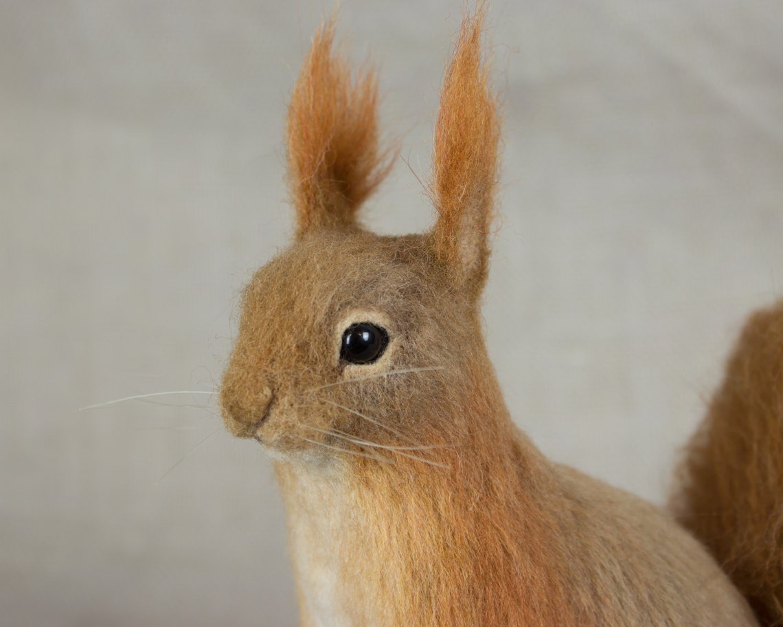 Made to Order Needle Felted Squirrel: Custom needle felted | Etsy