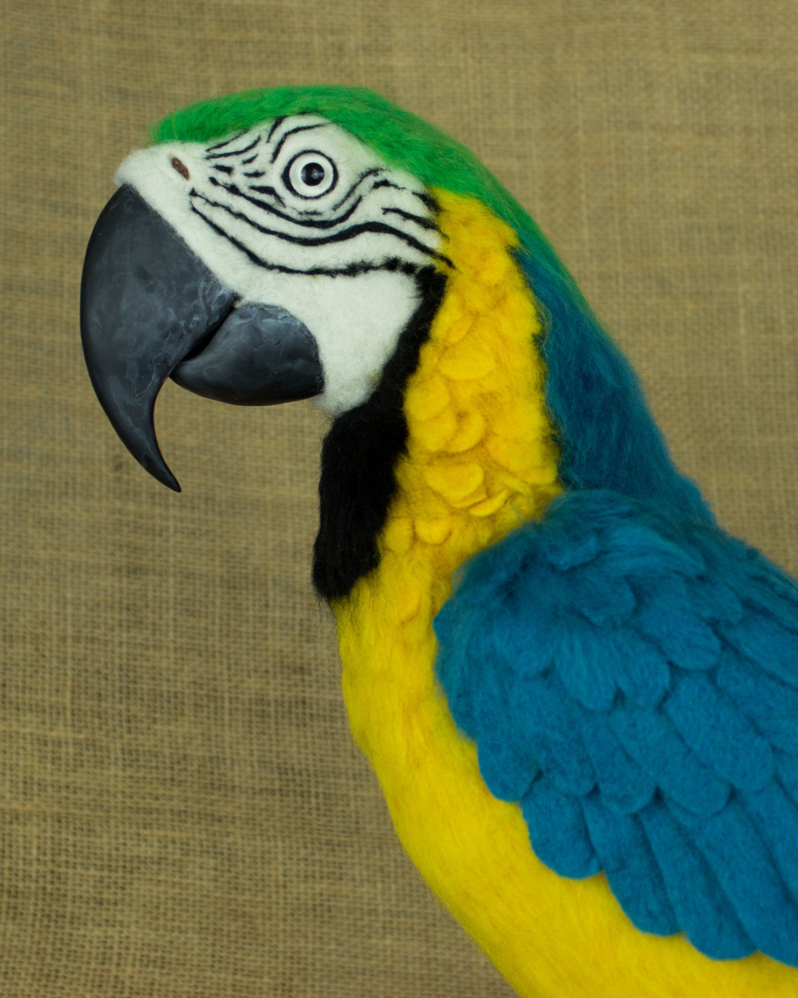 Made to Order Needle Felted Macaw: Custom Needle Felted Animal | Etsy